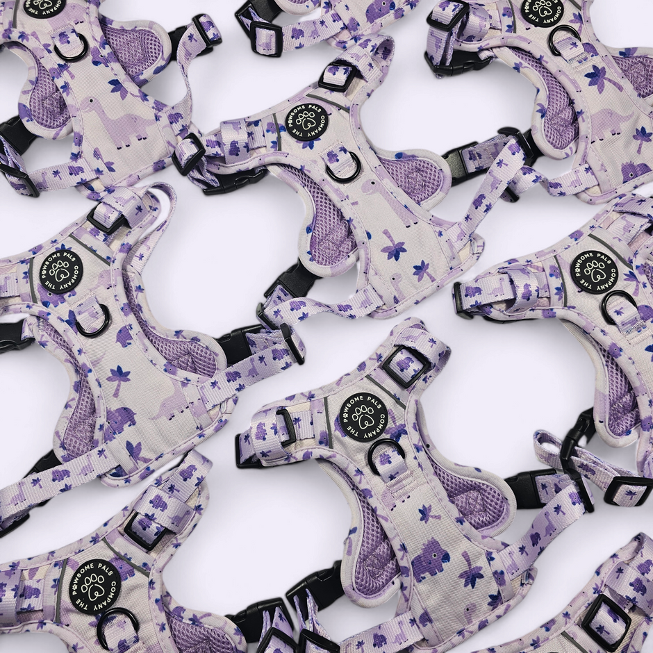HARNESSES – The Pawsome Pals Company